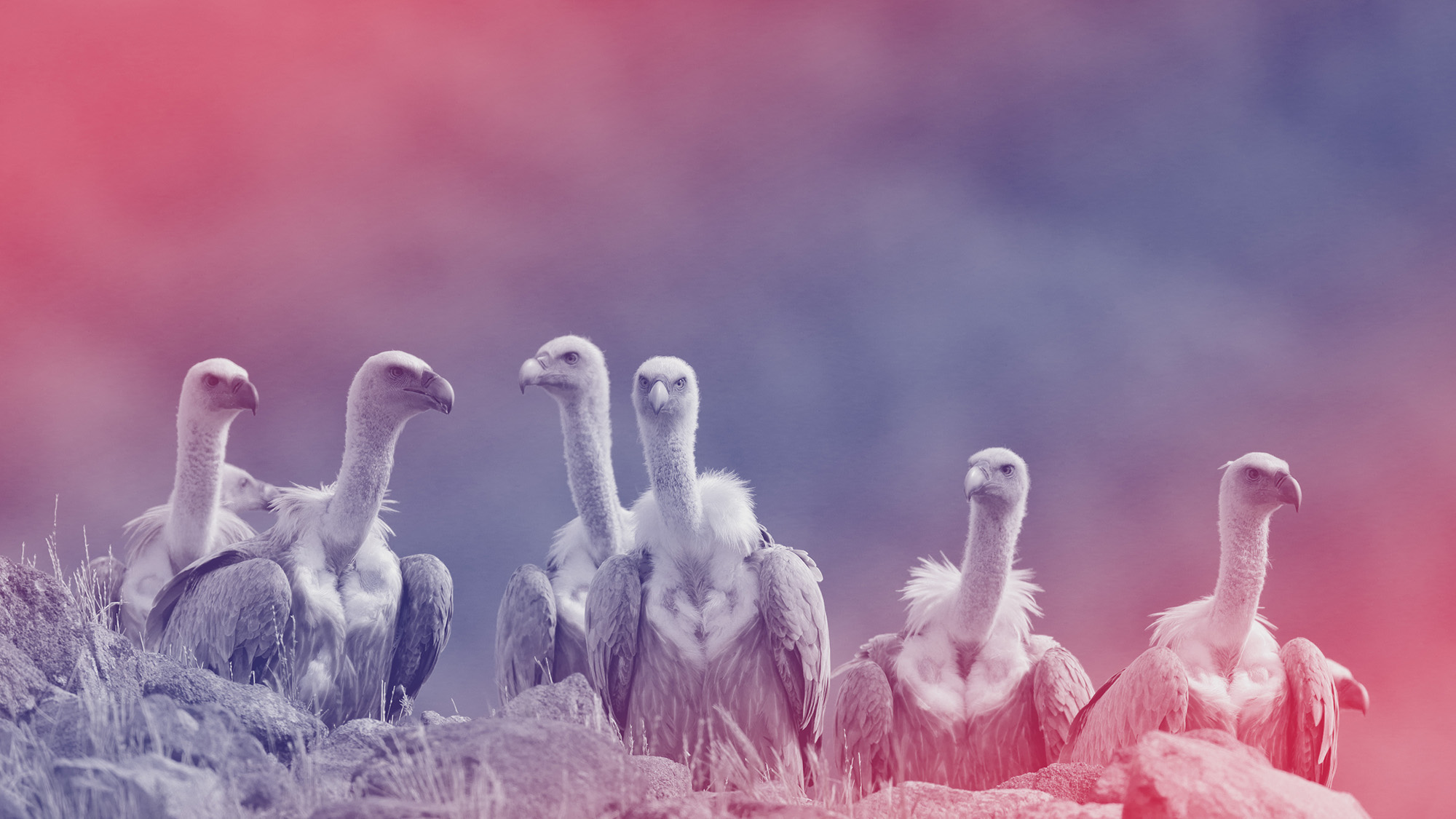 Schritt-für-Schritt-Anleitung für effektives Zeitmanagement im Berufsalltag